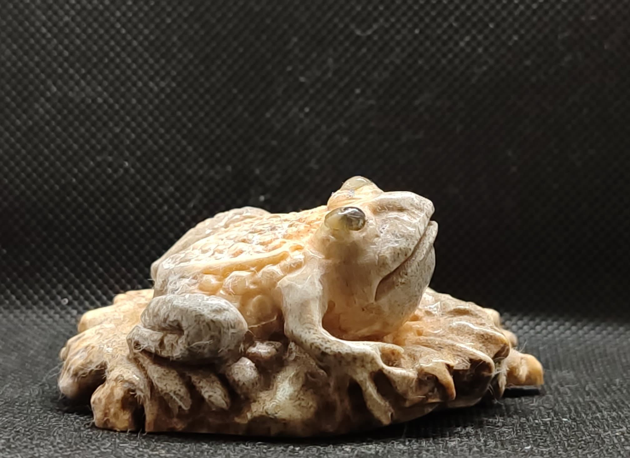 Frog Statuette, Carved Bone, Handmade, Toad, Amphibian - Etsy