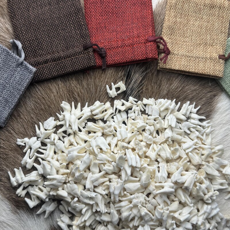 Animal Teeth - Etsy