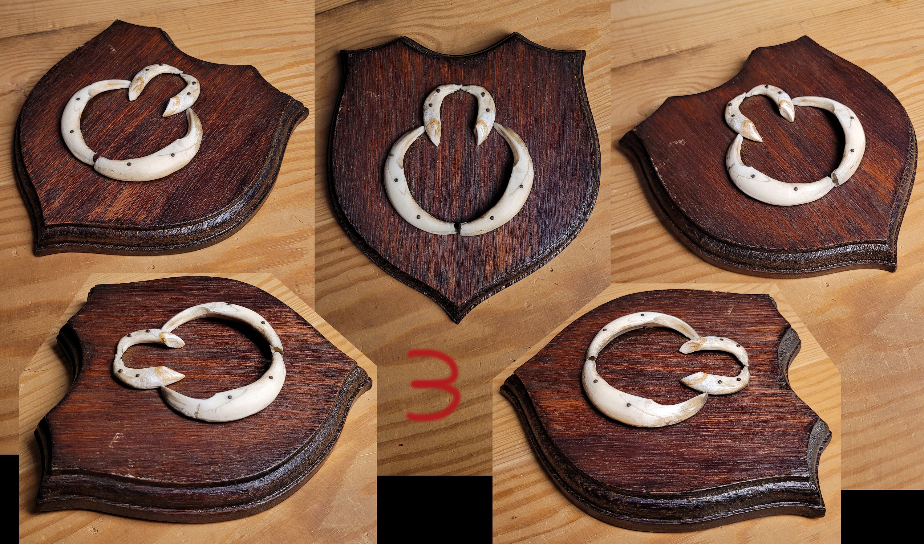 Wild Boar Teeth, Saber, Pipes on Wood. Rustic Decor, Hunter's Choice ...