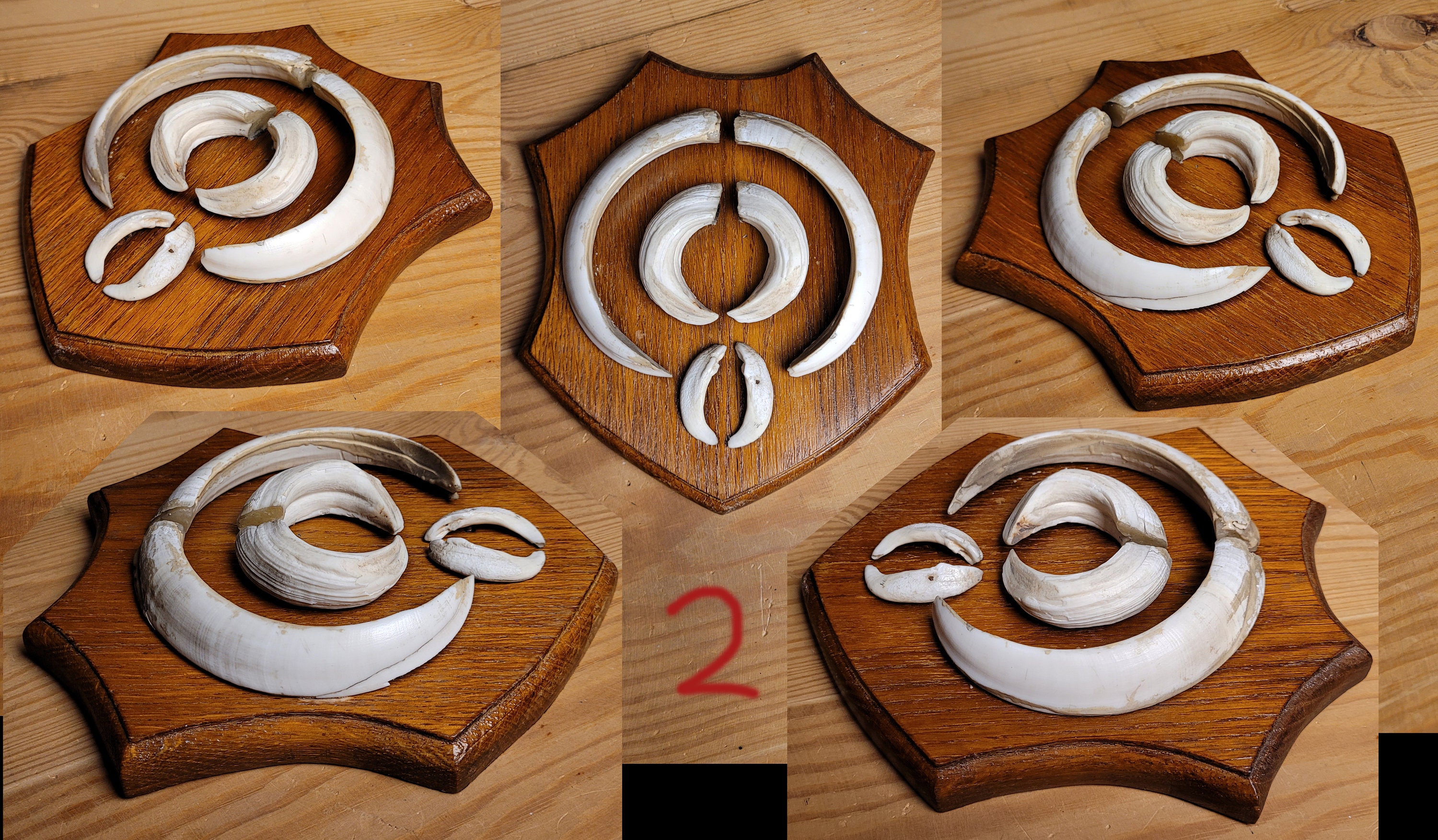 Wild Boar Teeth, Saber, Pipes on Wood. Rustic Decor, Hunter's Choice ...