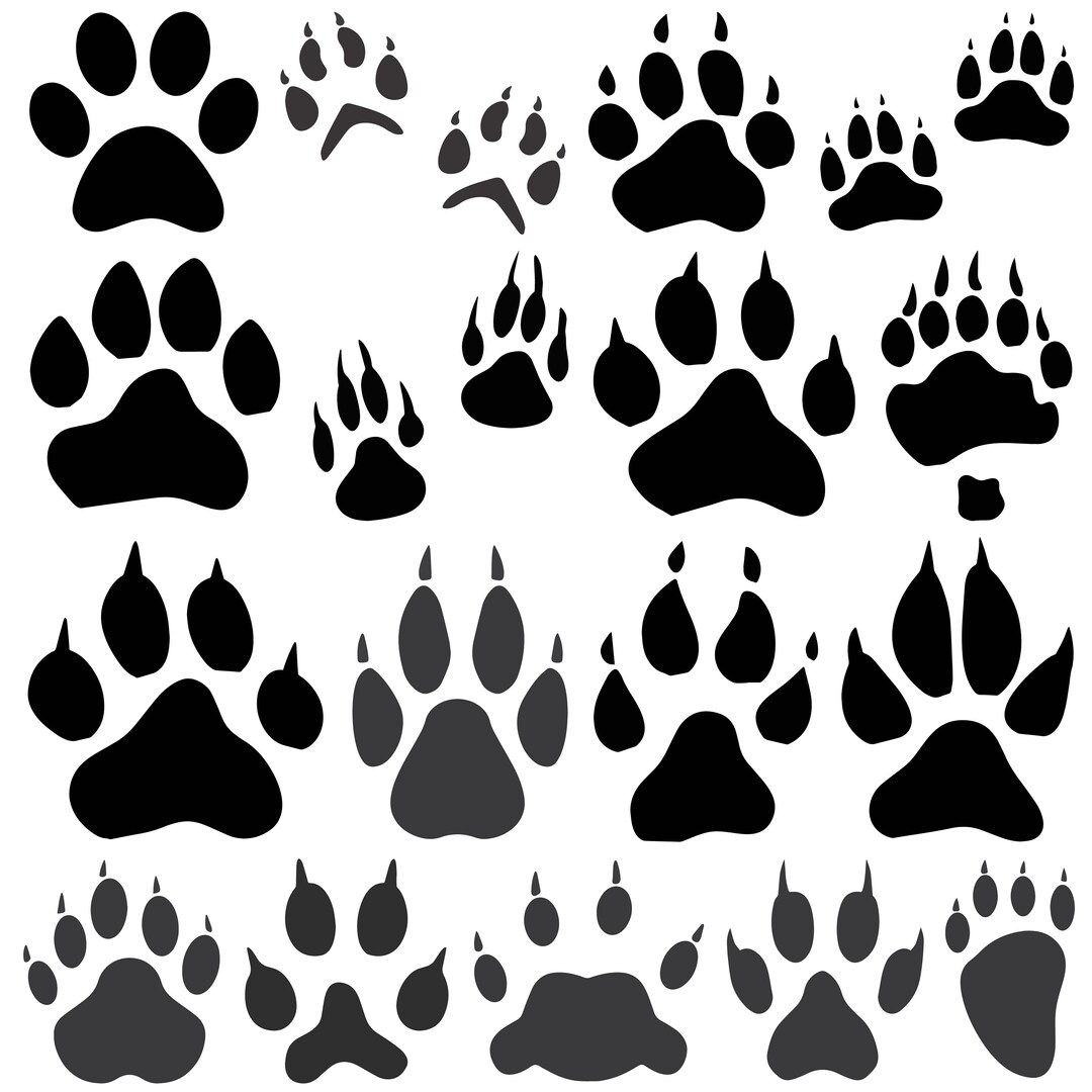 Animal Tracks Svg, Footprints Svg, Wild Animals Foot Prints Svg, Paw ...