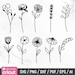 50 Wildflower Svg Bundle, Flower Svg, Floral Svg Bundle, Wildflower Svg ...