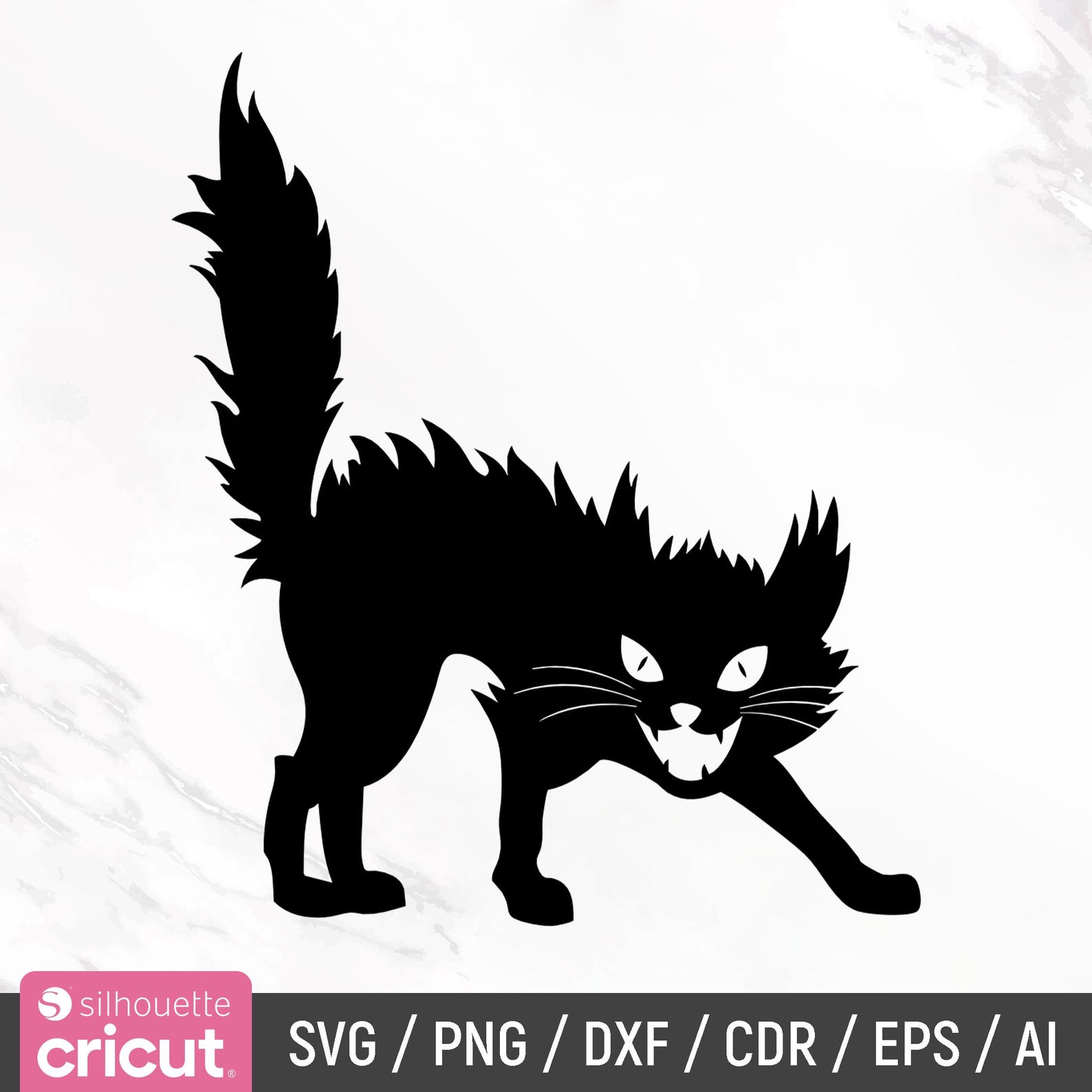 Halloween Cat Svg Bundle, Black Cat Svg, Cat Clipart, Halloween Svg ...