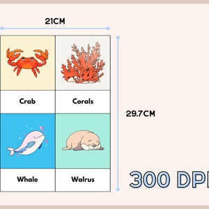 Sea Animals Flashcards for Kids Homeschool Coloring Activity Learning ...