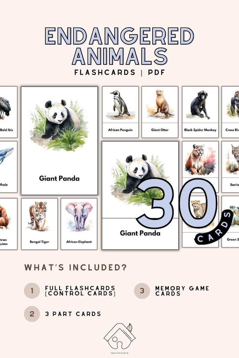Endangered Animal Flashcards Fun Learning Activity Kids Word Games ...