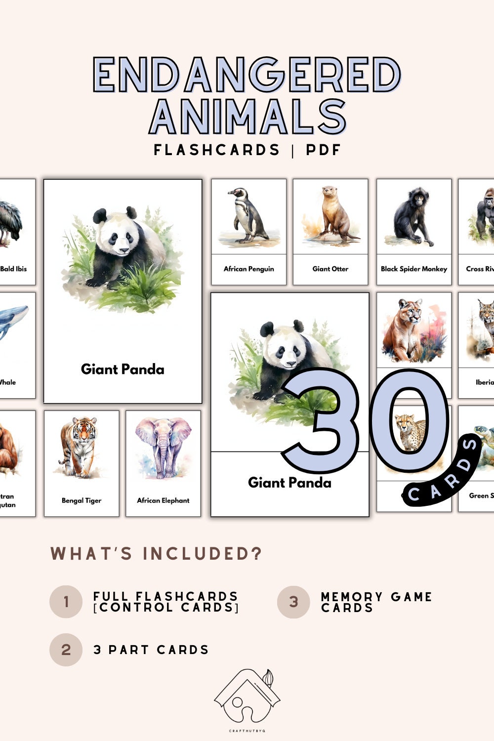 Endangered Animal Flashcards Fun Learning Activity Kids Word Games ...