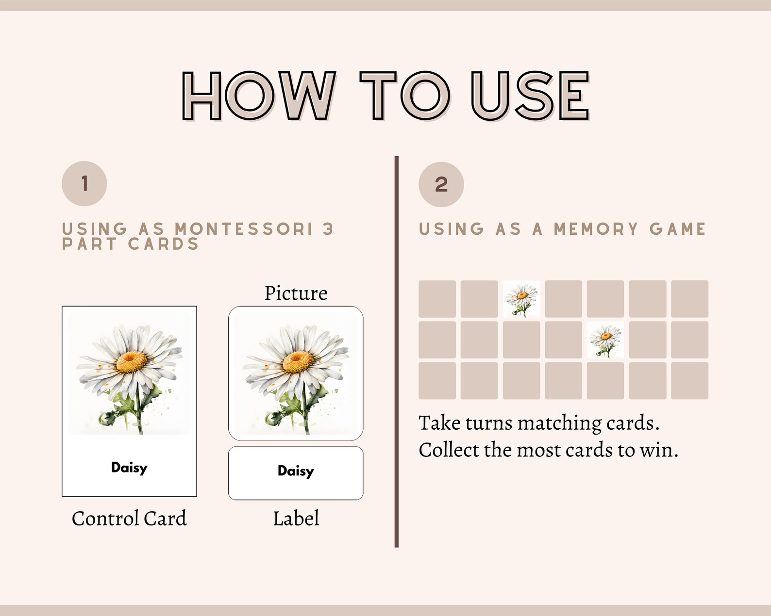 Flower Flashcard for Kids Learning Activity Types of Flower ...