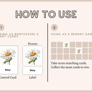 Flower Flashcard for Kids Learning Activity Types of Flower ...