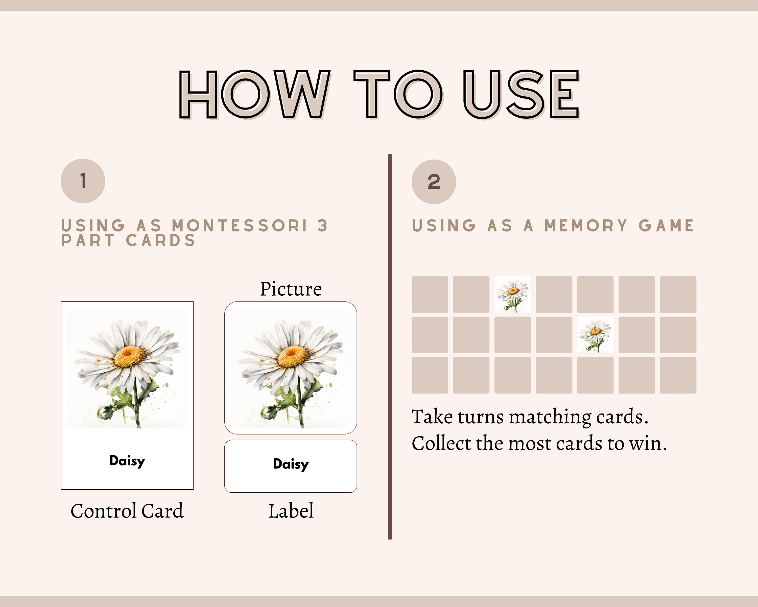 Flower Flashcard for Kids Learning Activity Types of Flower ...