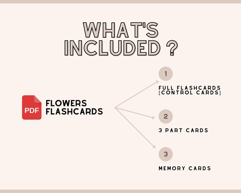 Flower Flashcard for Kids Learning Activity Types of Flower ...