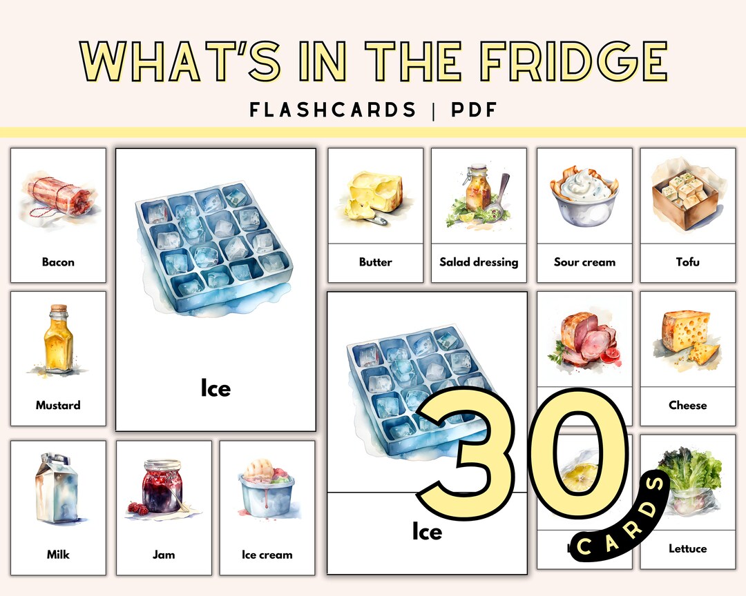 Whats in a Fridge Flashcard Montessori 3 Part Cards Learning Activity ...
