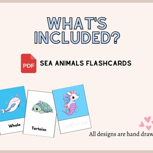 Sea Animals Flashcards for Kids Homeschool Coloring Activity Learning ...