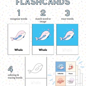 Sea Animals Flashcards for Kids Homeschool Coloring Activity Learning ...