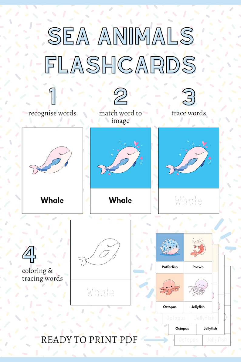 Sea Animals Flashcards for Kids Homeschool Coloring Activity Learning ...