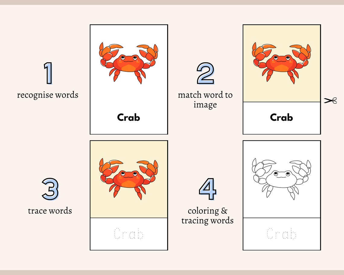 Sea Animals Flashcards for Kids Homeschool Coloring Activity Learning ...