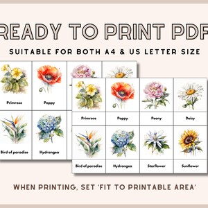 Flower Flashcard for Kids Learning Activity Types of Flower ...