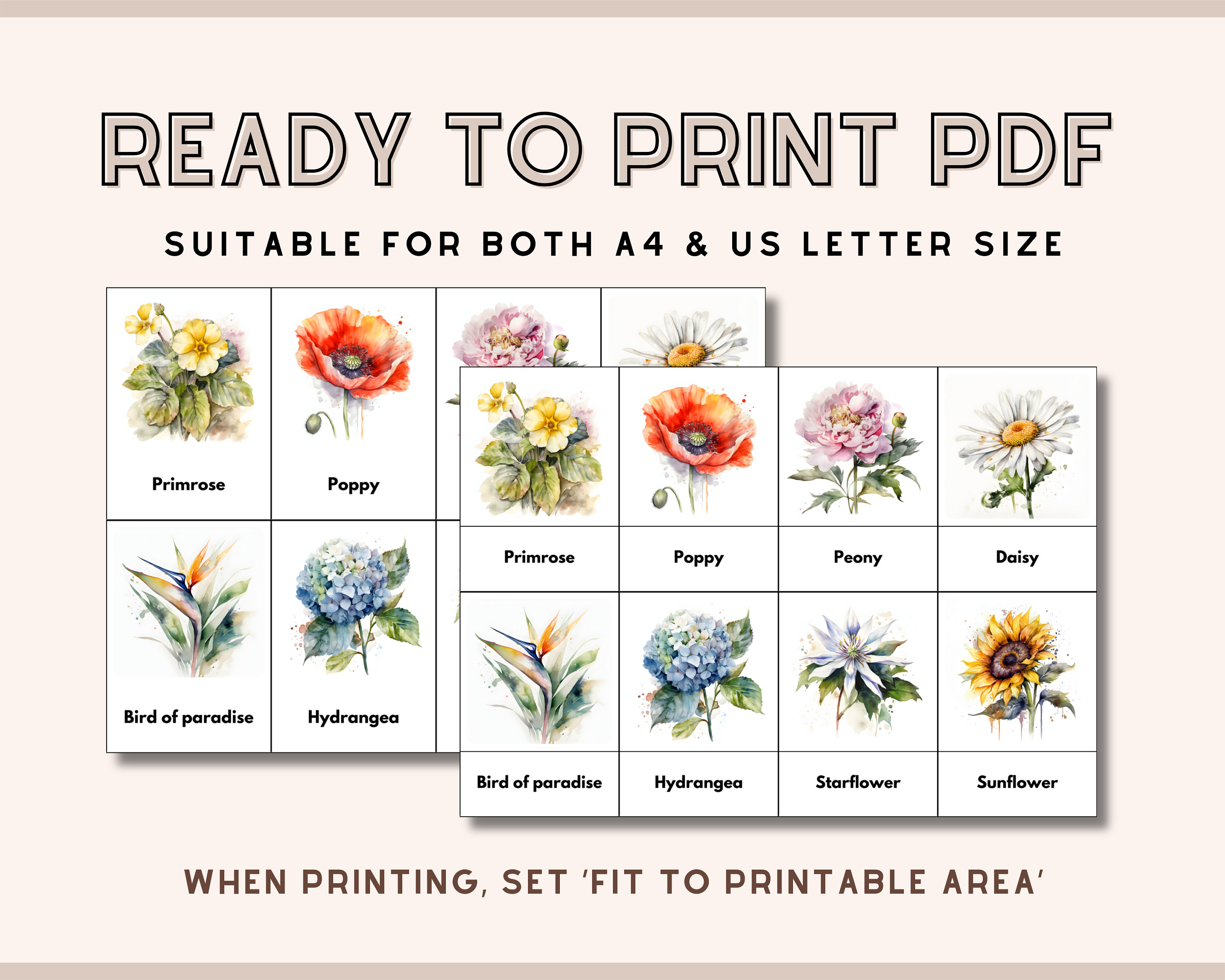 Flower Flashcard for Kids Learning Activity Types of Flower ...