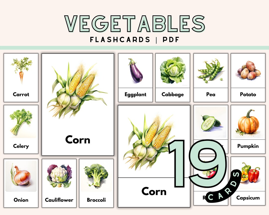 Vegetable Flashcard Set for Children Learning Veggie Prints Interactive ...