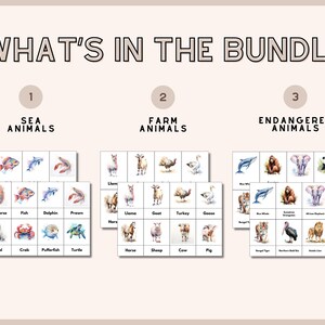 Animal Flashcards Montessori Animal Flash Card Kids Printables Animals ...