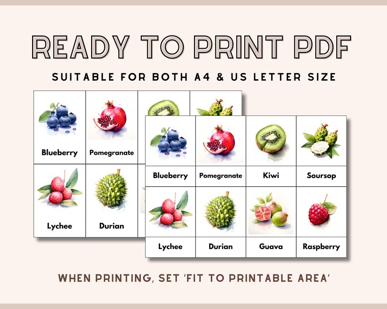 Fruits Flashcard for Kids Learning Activity Fruits Identification Card ...