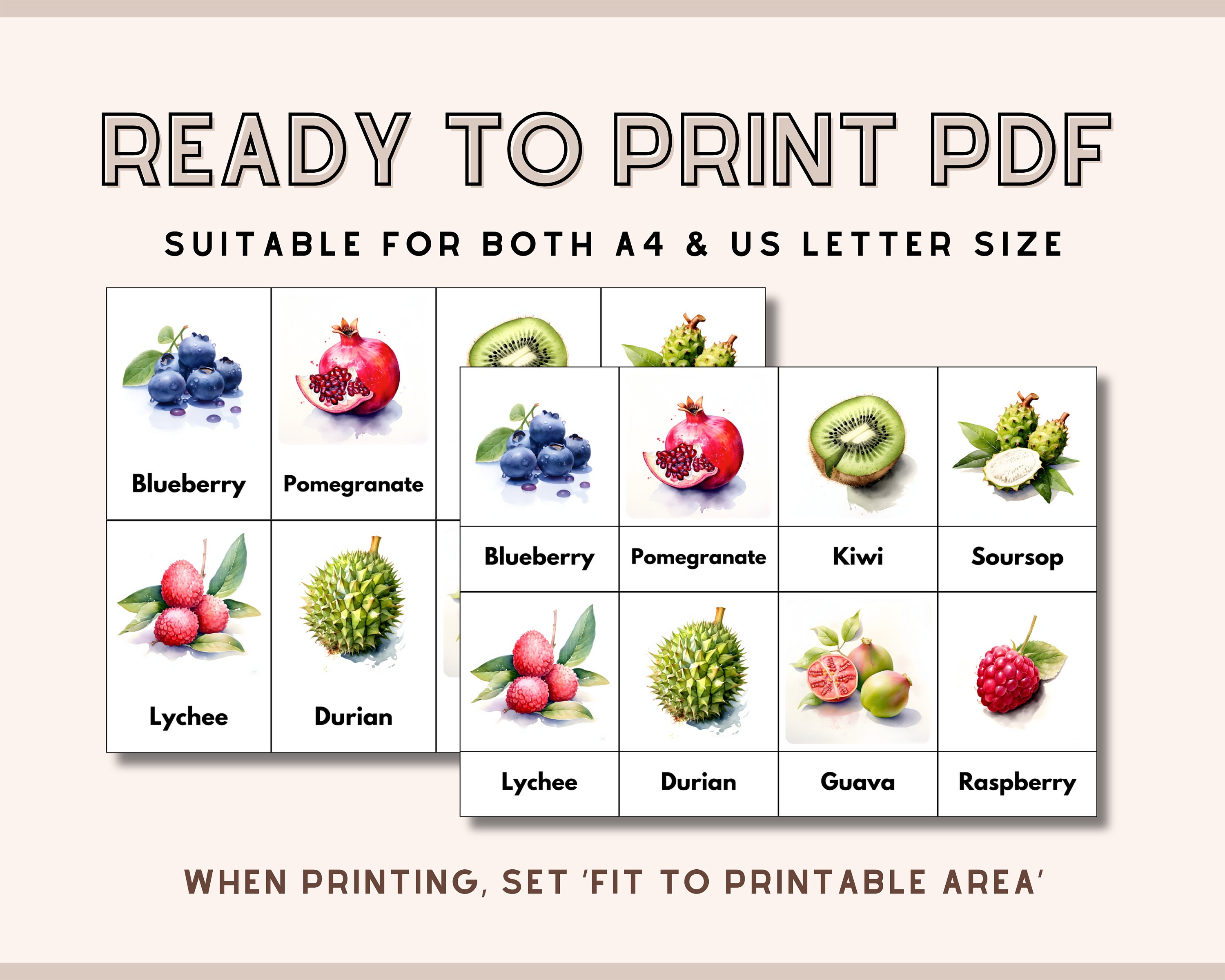 Fruits Flashcard for Kids Learning Activity Fruits Identification Card ...