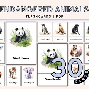 Endangered Animal Flashcards Fun Learning Activity Kids Word Games ...