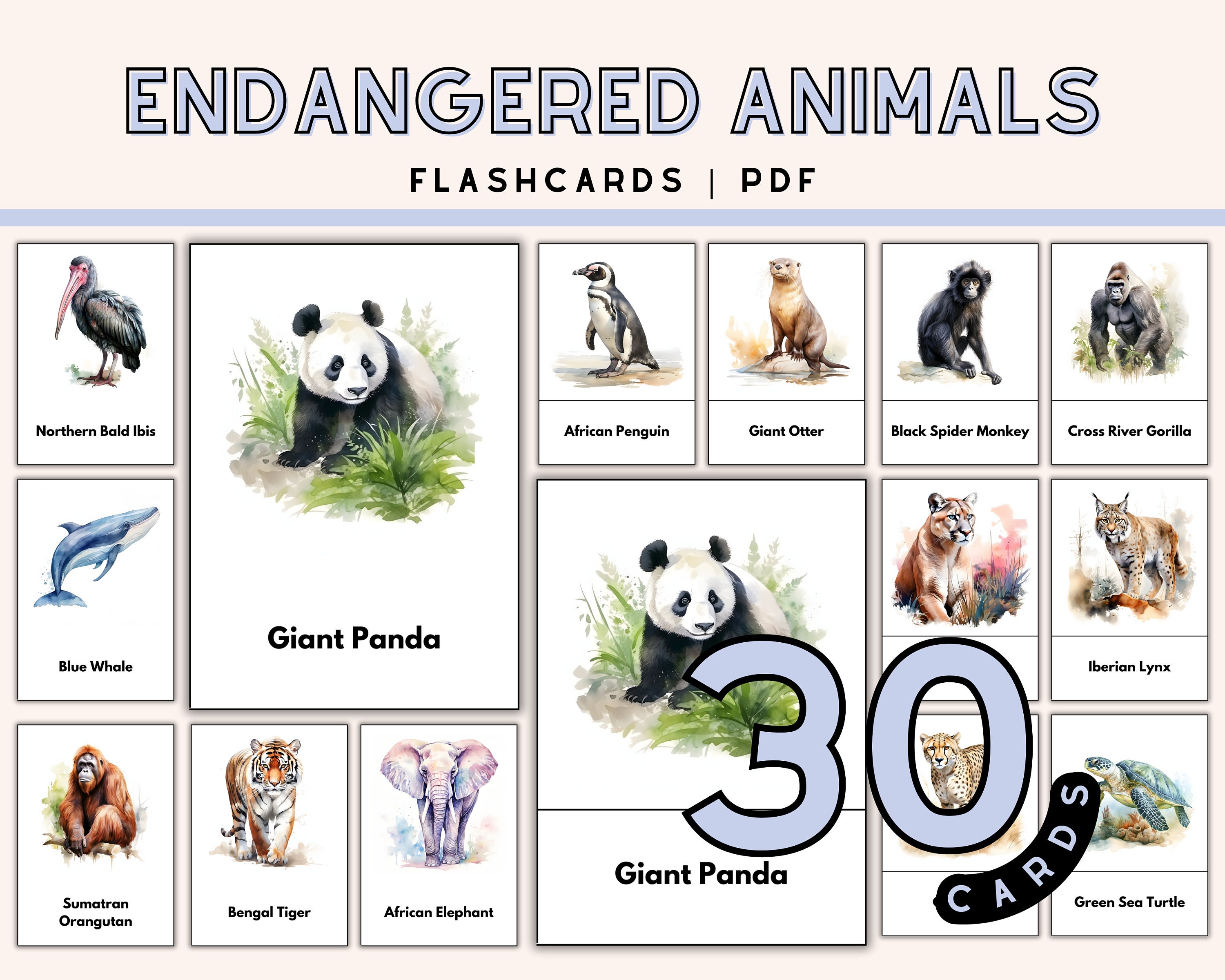 Endangered Animal Flashcards Fun Learning Activity Kids Word Games ...
