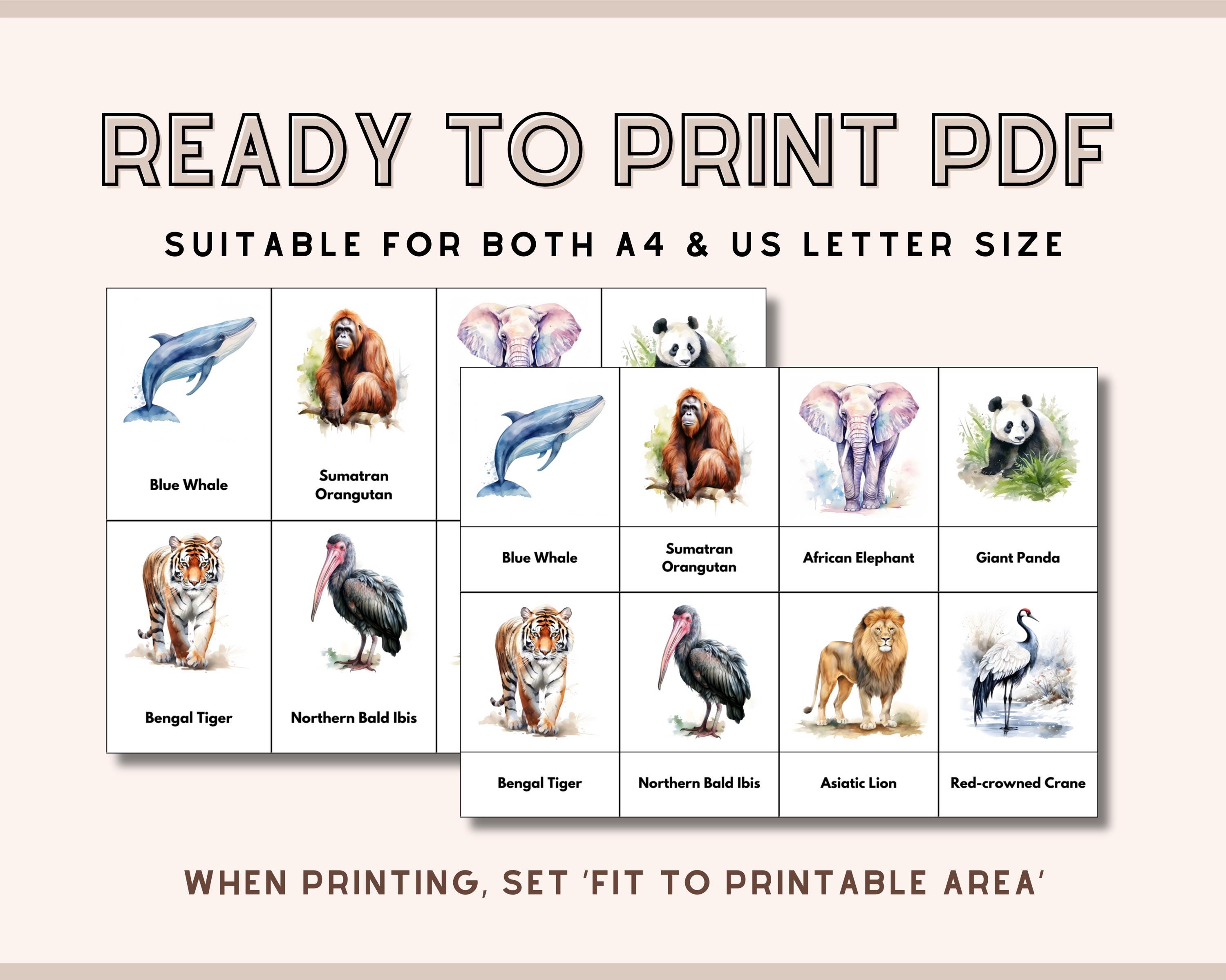 Animal Flashcards Montessori Animal Flash Card Kids Printables Animals ...