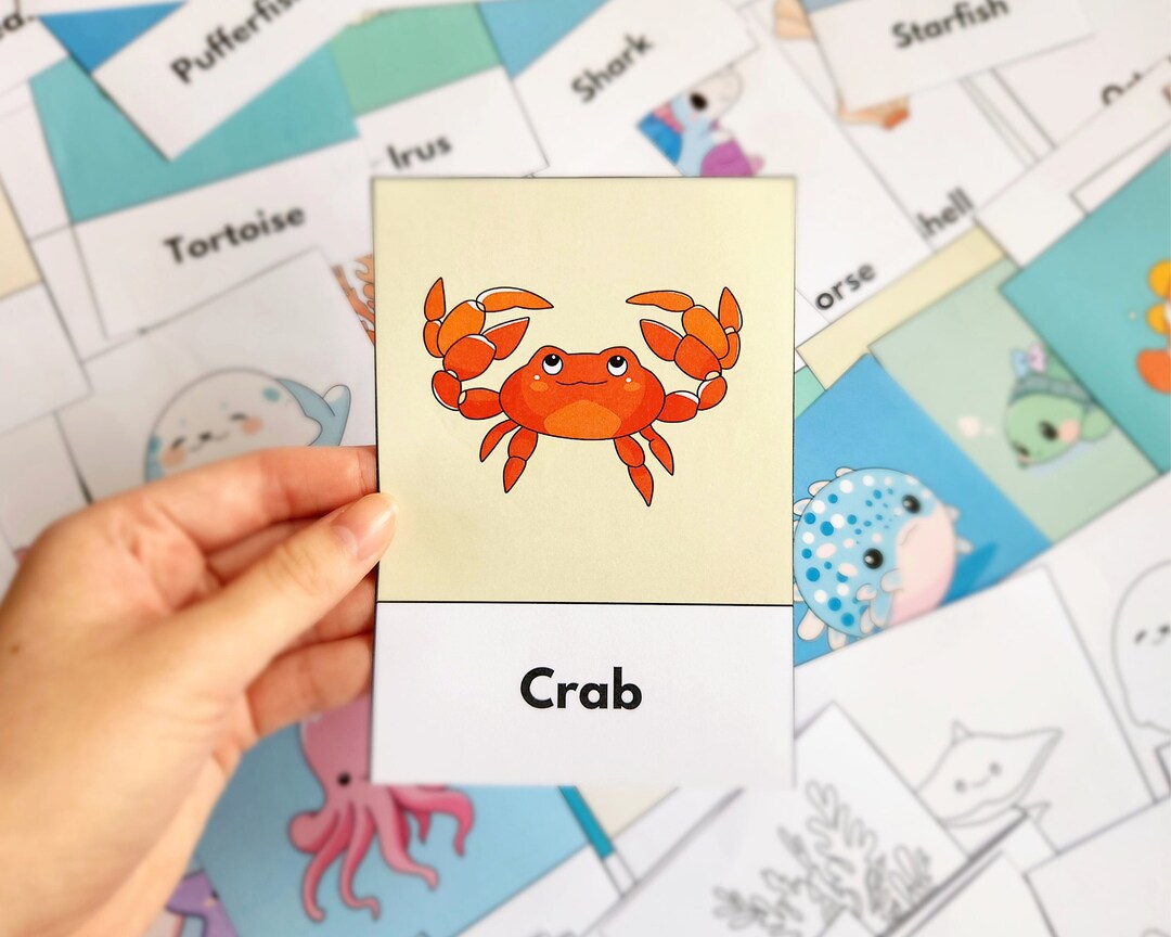 Sea Animals Flashcards for Kids Homeschool Coloring Activity Learning ...