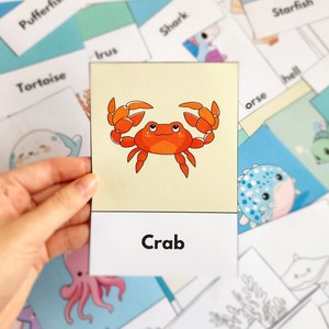 Sea Animals Flashcards for Kids Homeschool Coloring Activity Learning ...