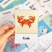 Sea Animals Flashcards for Kids Homeschool Coloring Activity Learning ...