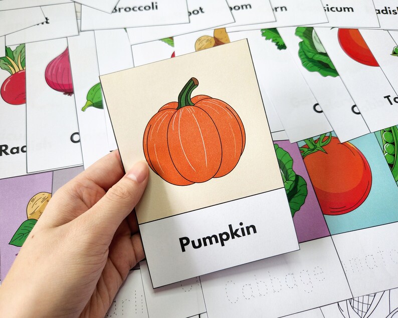 Vegetables Flash Cards for Kids Coloring Activity Homeschool Resource ...