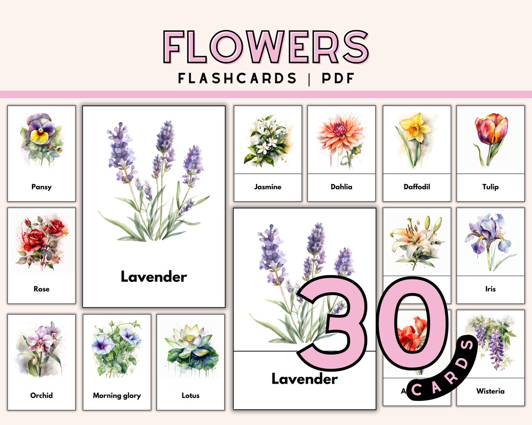 Flower Flashcard for Kids Learning Activity Types of Flower ...