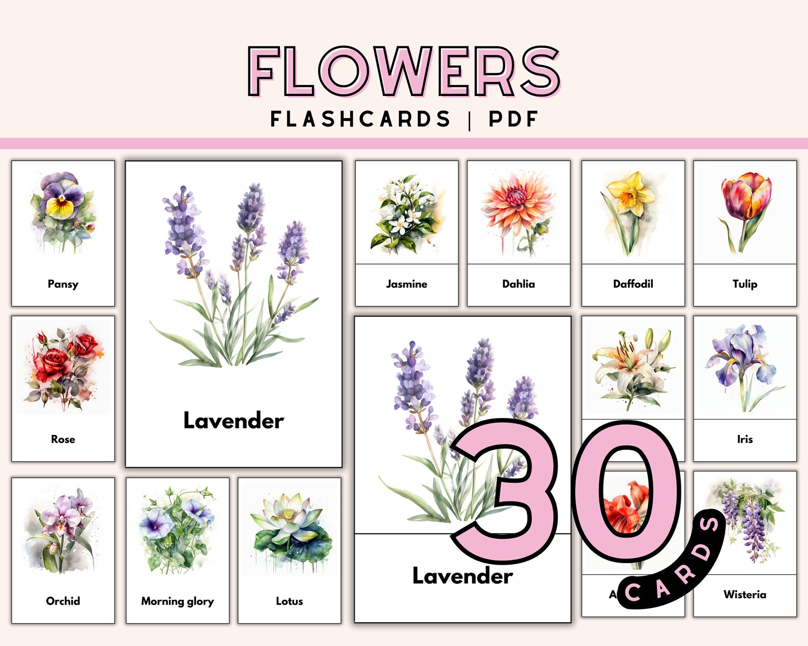 Flower Flashcard for Kids Learning Activity Types of Flower ...