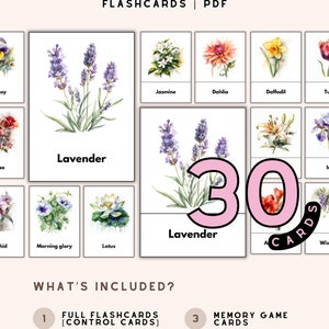 Flower Flashcard for Kids Learning Activity Types of Flower ...