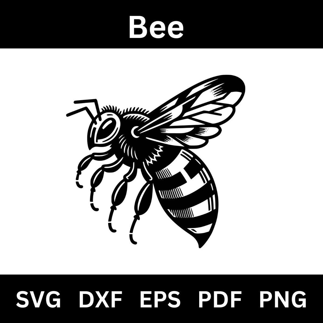 Bee Svg for Tumbler, Bee Svgs, Bee Svg Cricut, Bee Svg Files, Bee ...