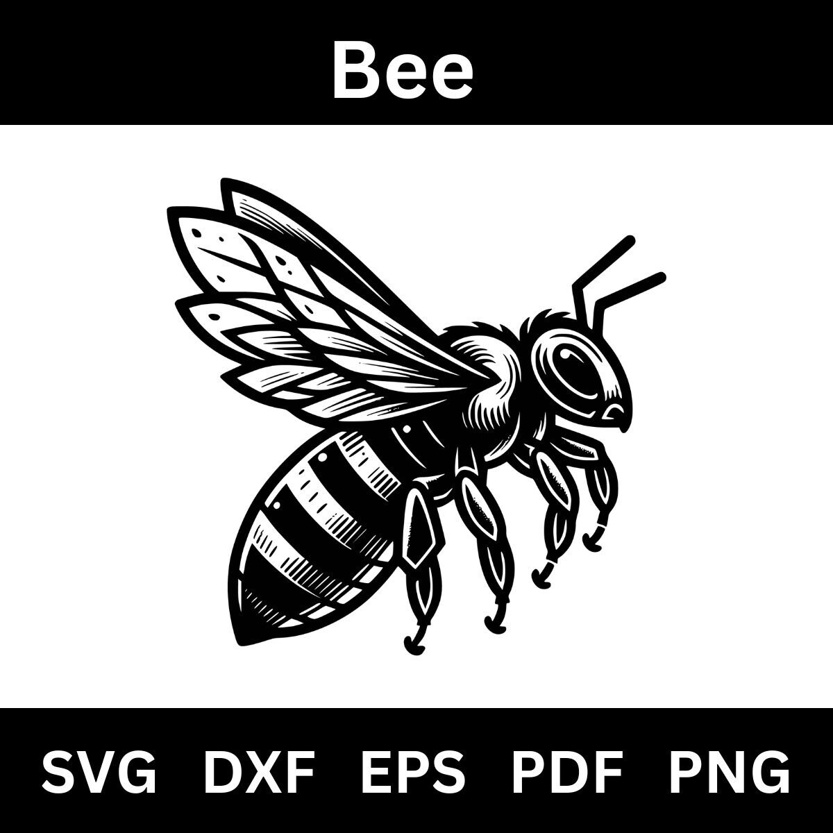 Bee Svg, Bee Svg Cricut, Bee PNG, Bee Svg Design, Bee Svg File, Bee Svg ...