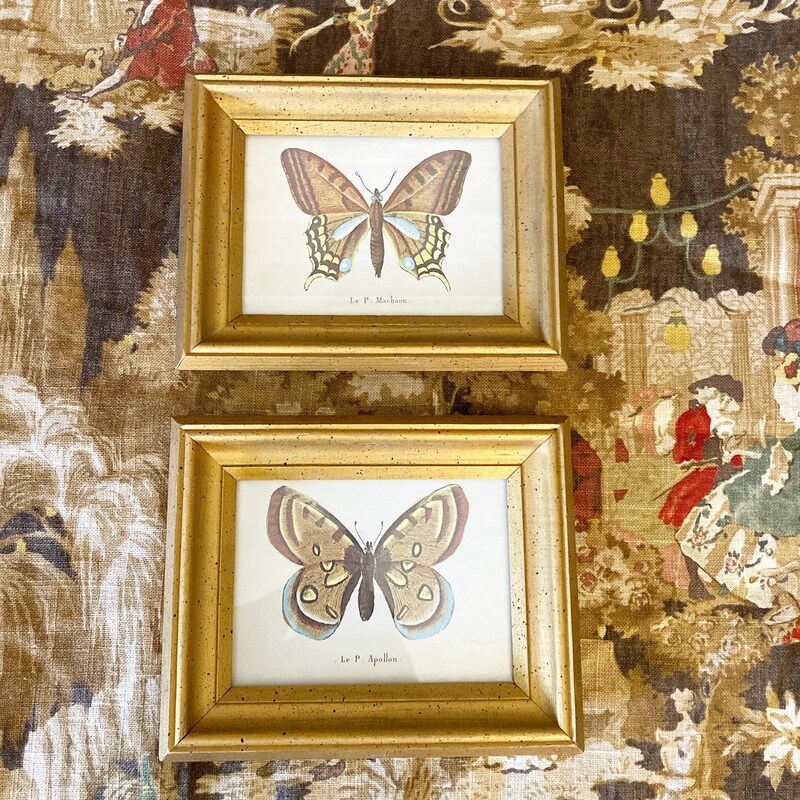 Butterfly Lithograph - Etsy