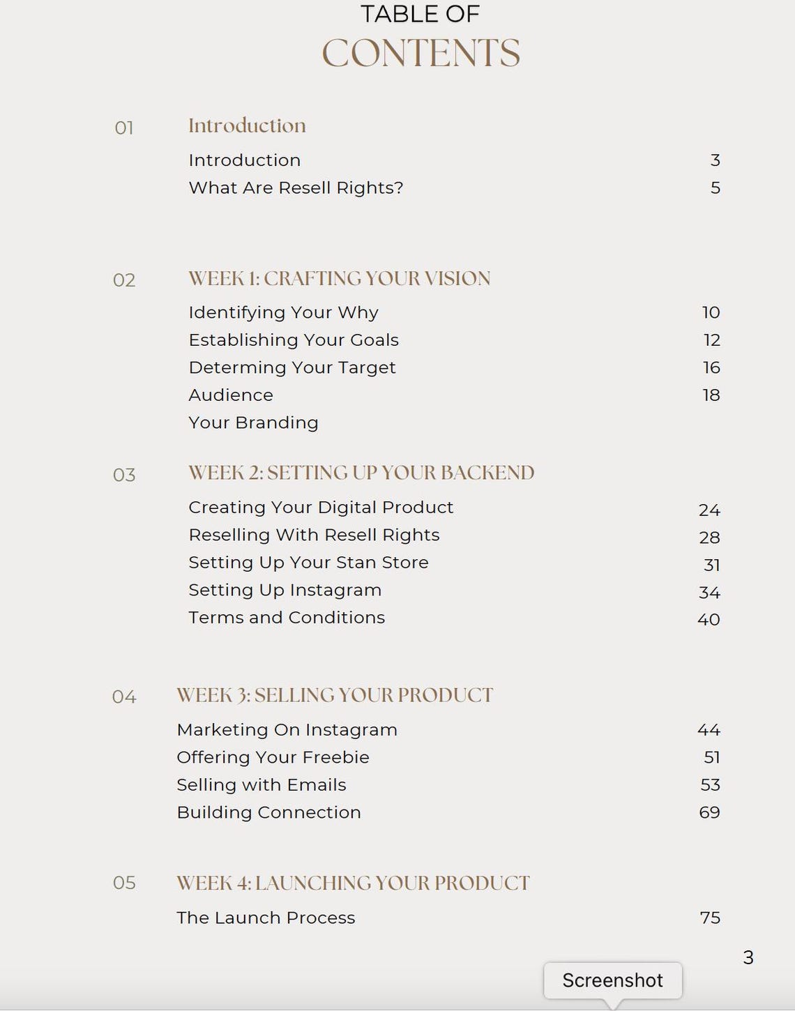 2024 PLR MRR Halal Hustle Handbook Private Label Rights Faceless ...