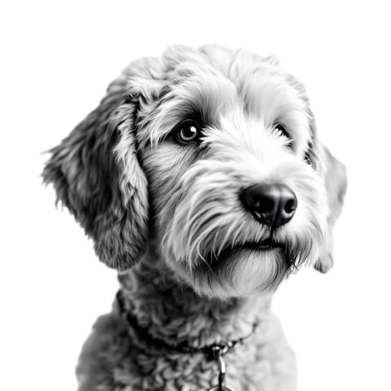 Labradoodle Portrait Bundle, Laser Cut DIY Design (digital Download) - Etsy