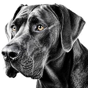 Rhodesian Ridgeback Dog Svg Portrait Bundle: Laser Cut Design on Metal ...