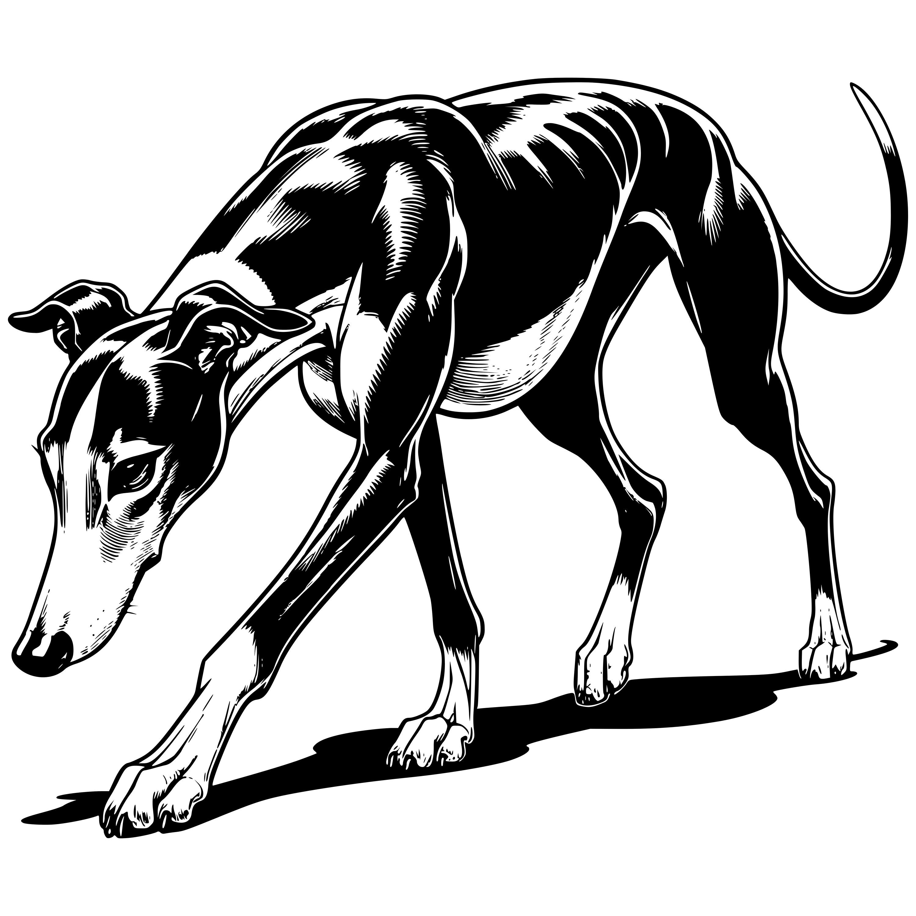 Greyhound Dog Clipart Bundle, Laser Cut Diy Project Designi, Digital ...