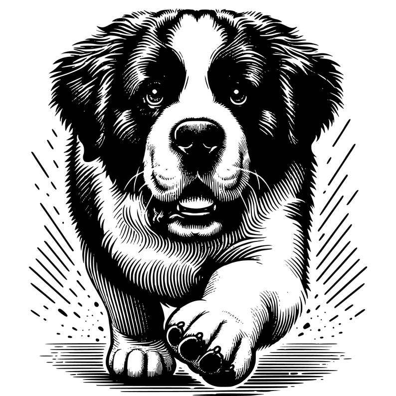 Saint Bernard Dog Vector Portrait Svg, Pet Tattoo Shirt Mug Design Gift ...