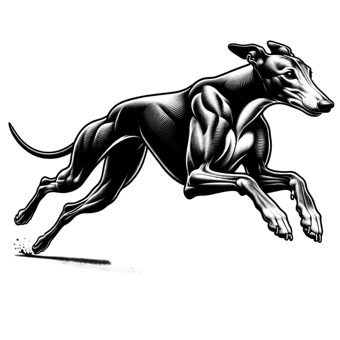 Greyhound Dog Svg Bundle: Laser Cut Diy Project Design (digital ...