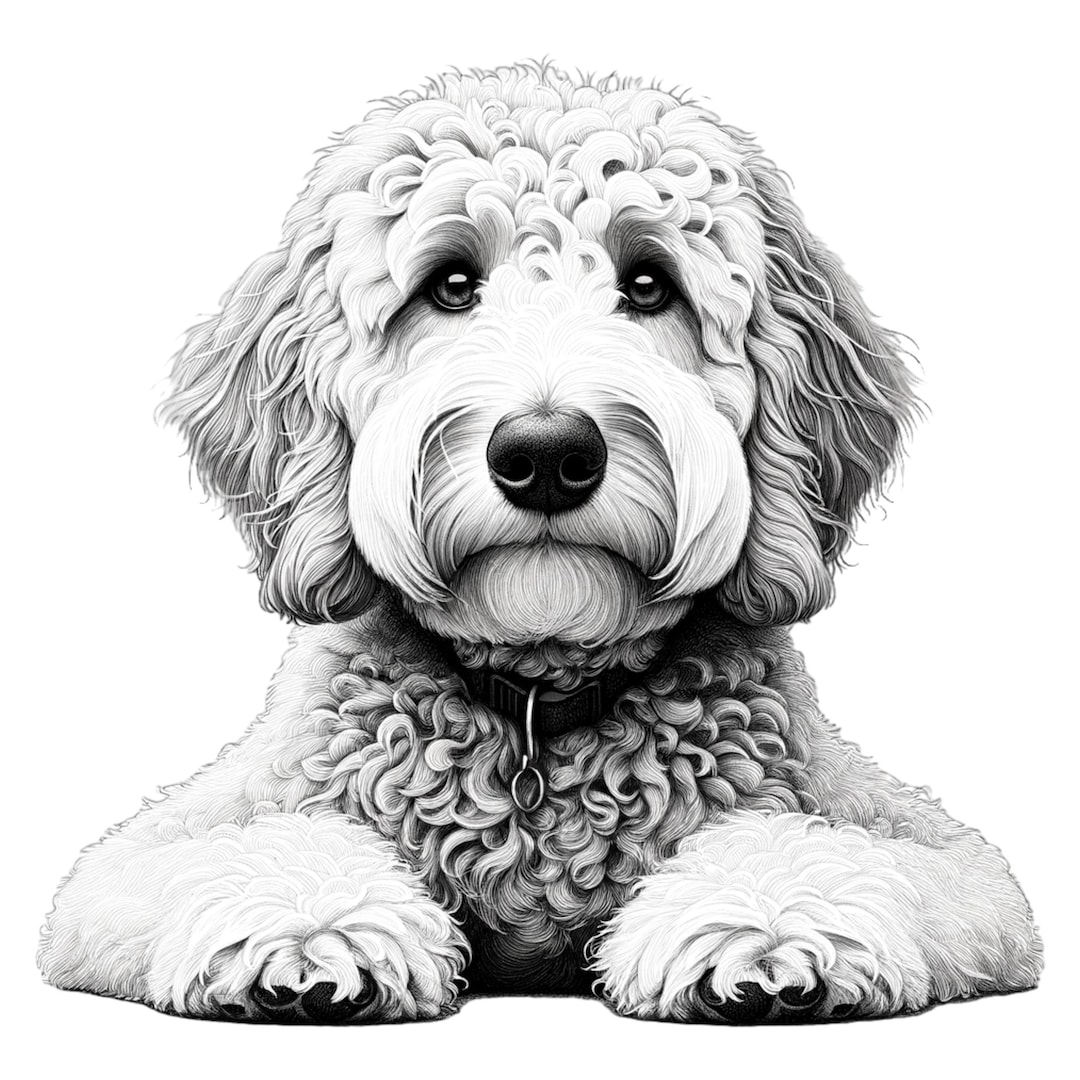 Labradoodle Dog Fine Line Svg 5 Bundle, Pencil Drawing Portrait, Doodle ...