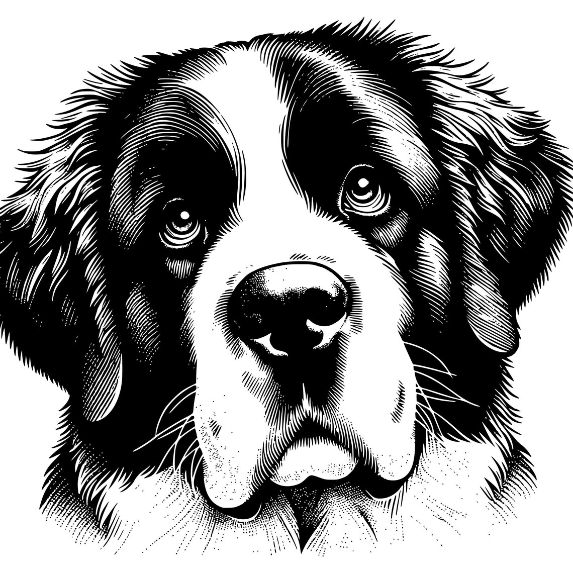 Saint Bernard Dog Vector Portrait Svg, Pet Tattoo Shirt Mug Design Gift ...