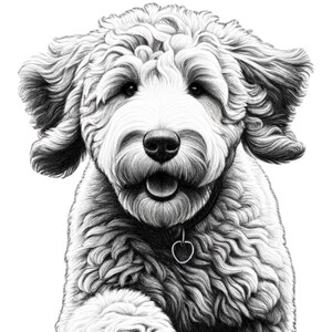 Labradoodle Dog Clip Art Portrait Bundle, Laser Cut Design, Digital ...
