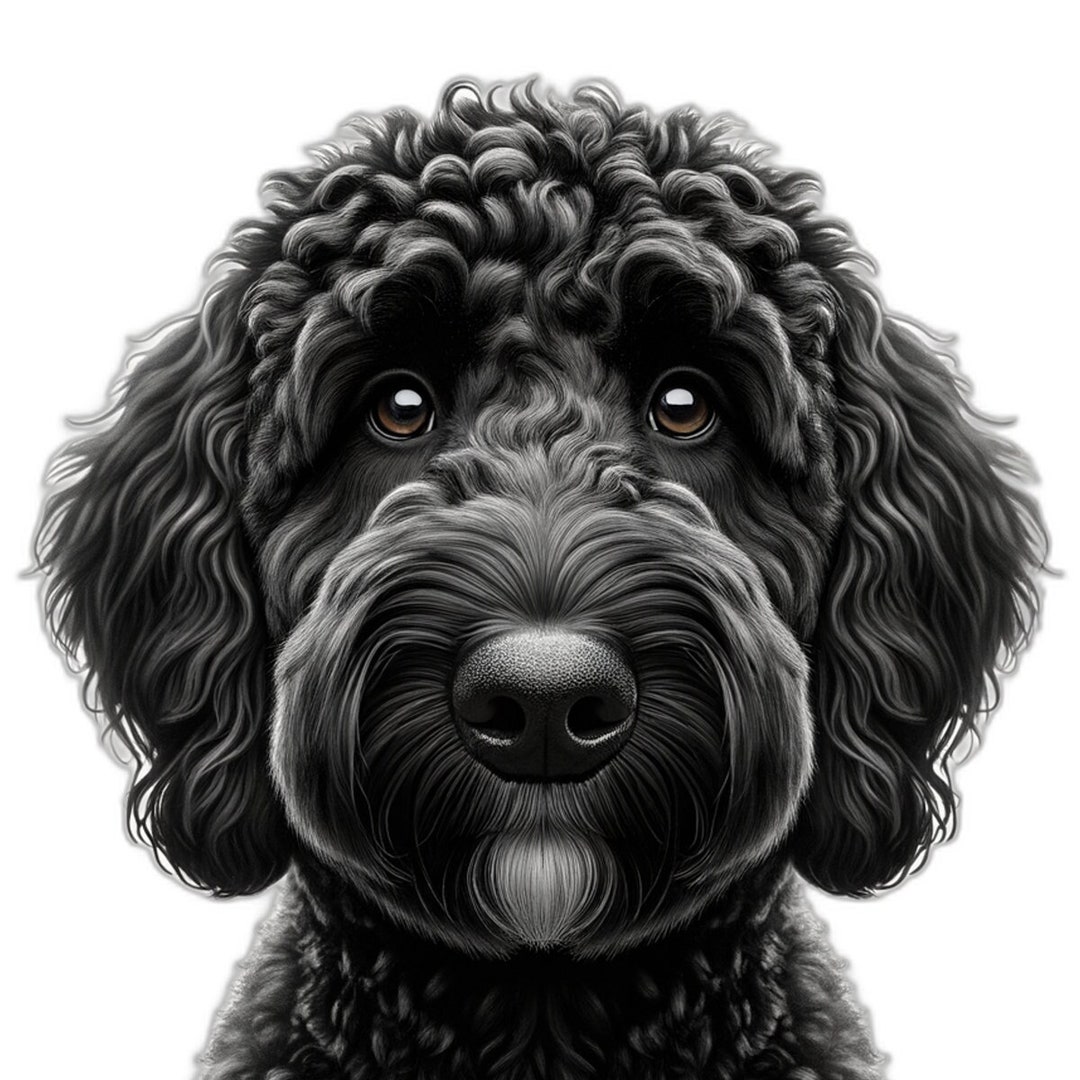 Black Poodle Clipart Svg, Poodle Print, Eps Vector File Dog, Dog Breed ...