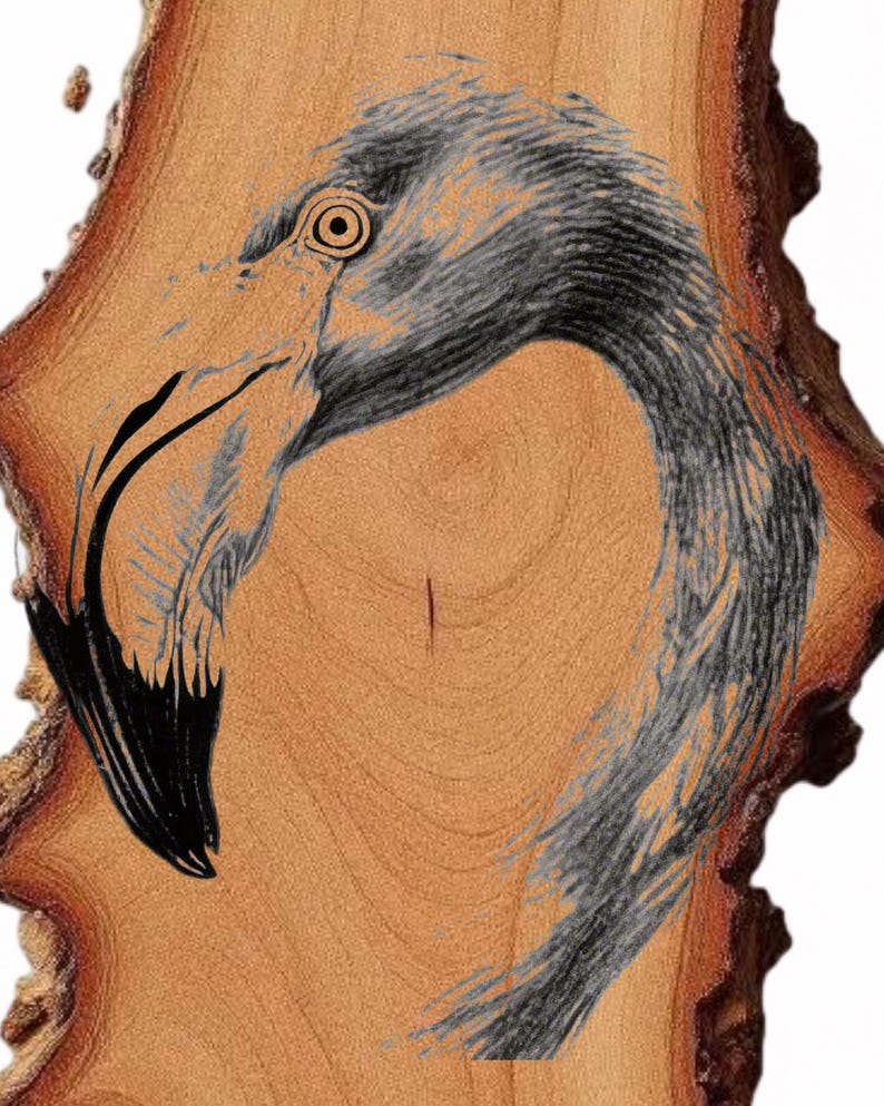 Flamingo Bird Profile Clip Art File Bundle, Laser Cut Printable Wallart ...