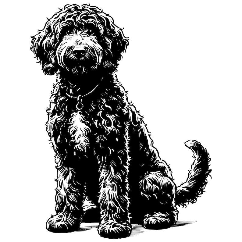 Labradoodle Clipart Bundle, Labradoodle Sweatshirt Gift Wallart Png ...
